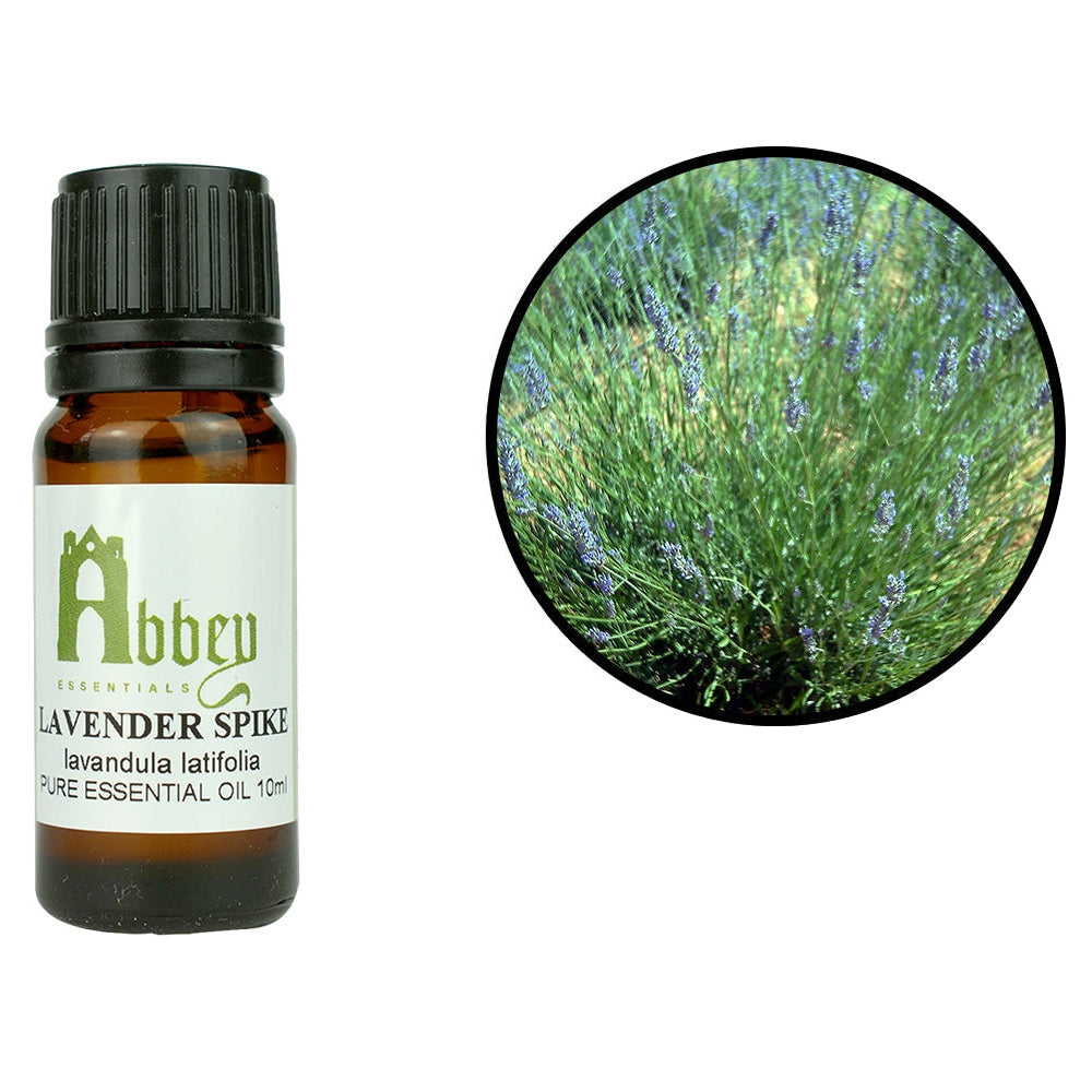 Lavender Spike Essential Oil – Croft Home & Garden