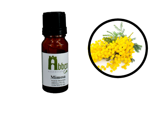 Mimosa Absolute Oil – Croft Home & Garden