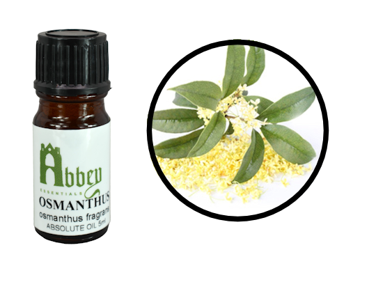 Osmanthus Absolute Oil – Croft Home & Garden